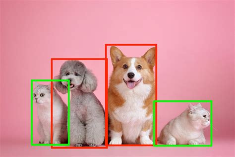 使用 pytorch 提供的預訓練模型 pretrained model 做物件偵測 object detection rowan