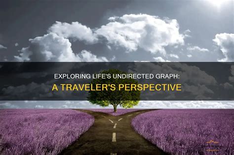 Exploring Lifes Undirected Graph A Travelers Perspective