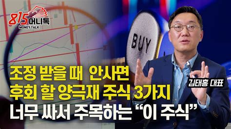 포스코퓨처엠 에코프로 조정 받을 때 사야 하는 양극재 주식 3가지 밸류가 너무 싼 이 주식 김태홍 대표