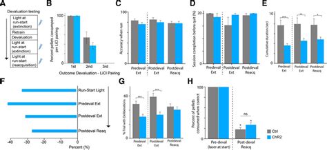 Beacon Task Related To Outcome Devaluation A Devaluation Testing Download Scientific Diagram