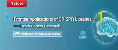 Crispr Screen Frontier Applications Brain Cancer Research Ubigene