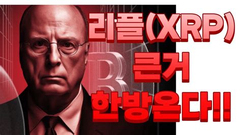 리플 이제 얼마안남았네요리플 리플xrp 리플소송 리플속보 Youtube