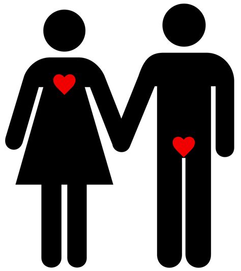 The Biological Explanation For Gender Differences Owlcation