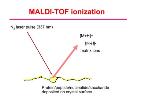09maldi Tof Principal Of Mass Spectrometry Pdf Chemistry Science 09maldi Tof Principal Of Mass Spectrometry Pdf Chemistry Science