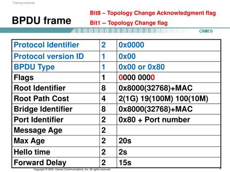 PPT Spanning Tree Understanding PowerPoint Presentation Free Download ID 5190597