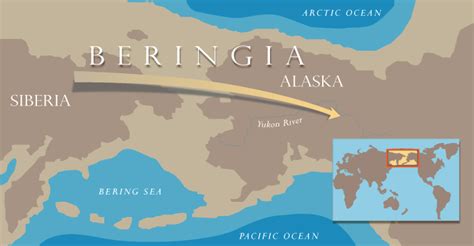 Beringia The Lost Territory Where Americans Evolved