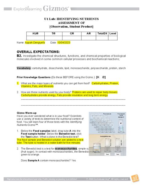 U Lab Identifying Nutrients SE U Lab IDENTIFYING NUTRIENTS ASSESSMENT OF Observation