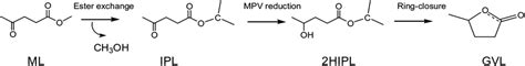 A Schematic Representation Of Transesterification Hydrogenation And