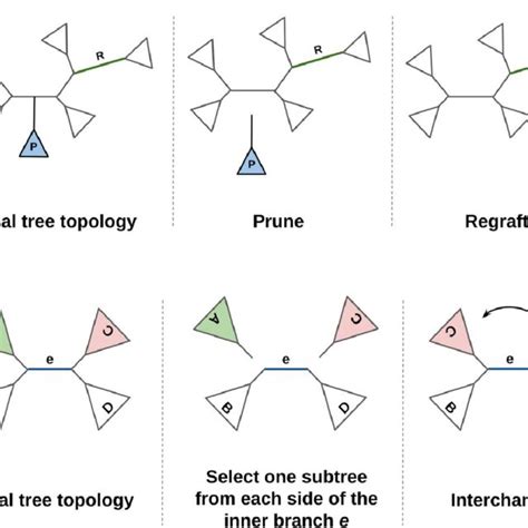 A An Spr Move Example The Subtree P Is Pruned From The Initial