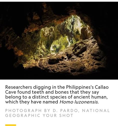 New Species Of Ancient Human Discovered In The Philippines Dubbed Homo