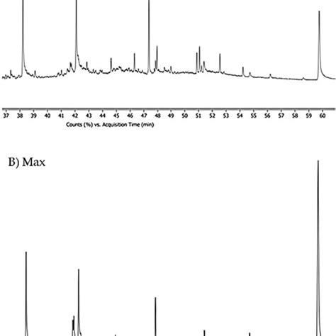 Comparison Of Gc Ms Chromatograms Of The Two Sampled Adult Male Brown Download Scientific