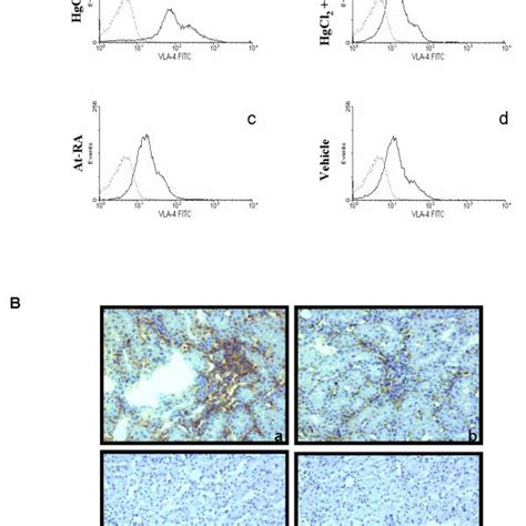 At Ra Treatment Blocks Vla 4 Dependent Cell Adhesion The Effects Of