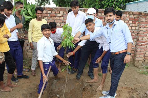 Tree Plantation Drive