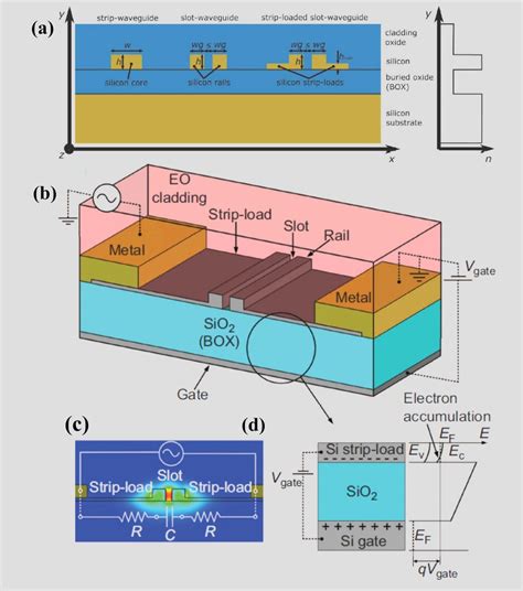 Silicon Photonics Sensors For Biophotonic Applications A Tutorial Silicon Photonics Sensors For Biophotonic Applications A Tutorial