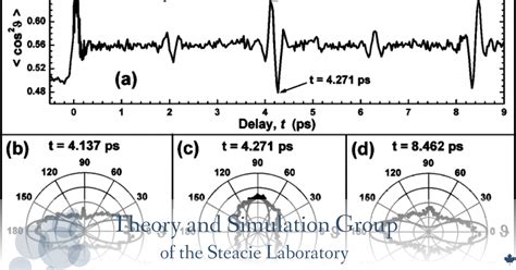 direct imaging of rotational wave packet dynamics of diatomic molecules