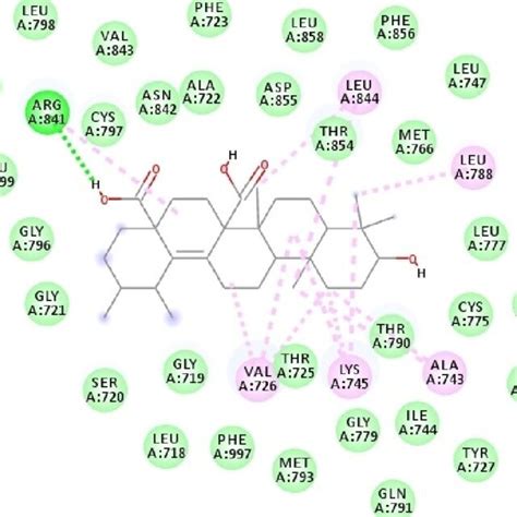 Two Dimensional Binding Conformation Of Positive Control Against The