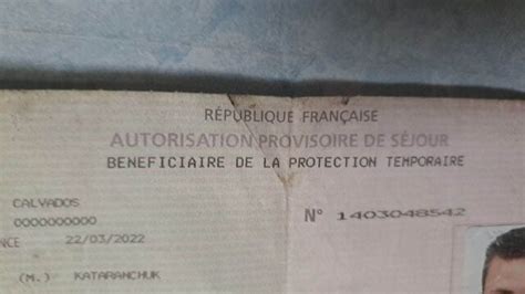 Временная защита во Франции для выходцев из Украины — Миграпедия