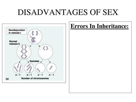 Ppt Meiosis And Sexual Reproduction Powerpoint Presentation Free Download Id6880839