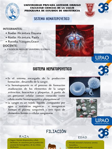 Sistema Hematopoyetico Descargar Gratis Pdf Sangre Anemia