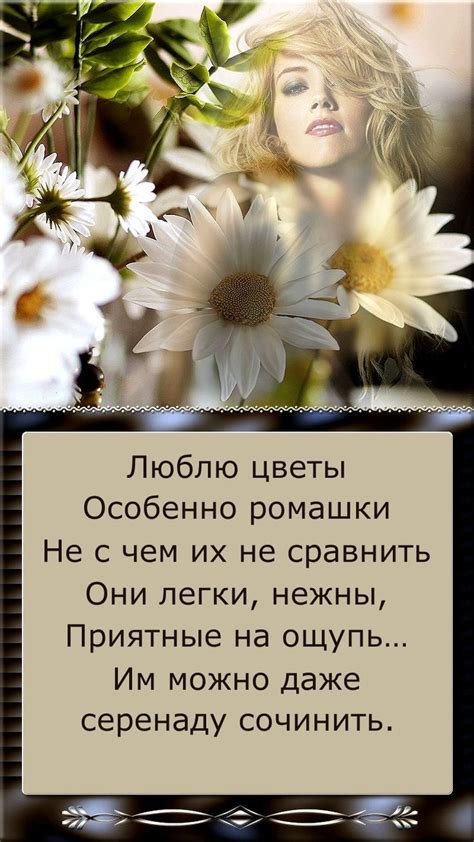 Статусы | Ромашки, Цветы, Имена
