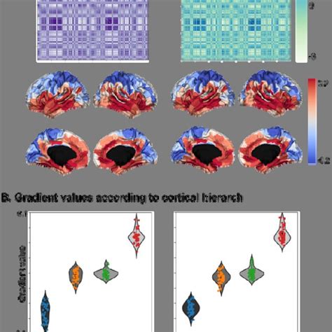 Brain Microstructure Of An Independent Dataset A We Constructed A Download Scientific