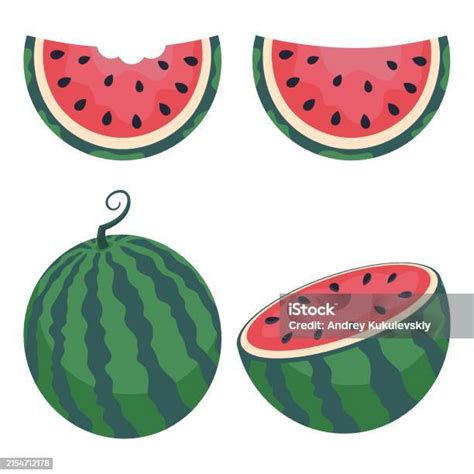 수박 세트 전체 수박 슬라이스 반 수박 손으로 그린 플랫 벡터 일러스트 레이 션 0명에 대한 스톡 벡터 아트 및 기타 이미지