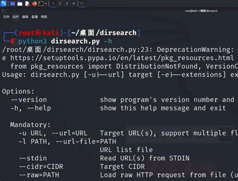 仅需 步使用Dirsearch扫出网站隐藏目录By Kali与编程 哔哩哔哩