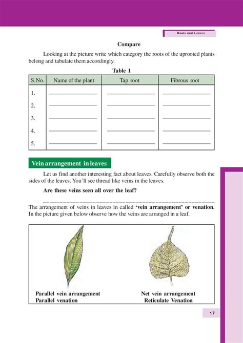 Cg Board Class 5 Evs Book Pdf Download Chhattisgarh Board Textbook Aglasem Cg Board Class 5 Evs Book Pdf Download Chhattisgarh Board Textbook Aglasem