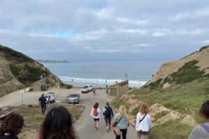 Blacks Beach Trail Everything You Need To Know By A Local Ca Girl