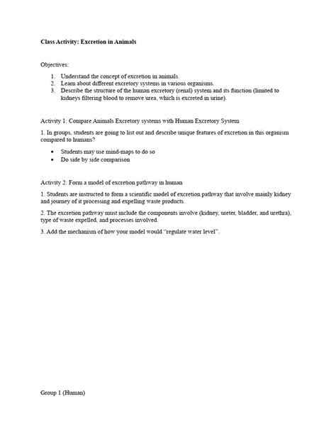 class activity 2 excretion and excretory system pdf