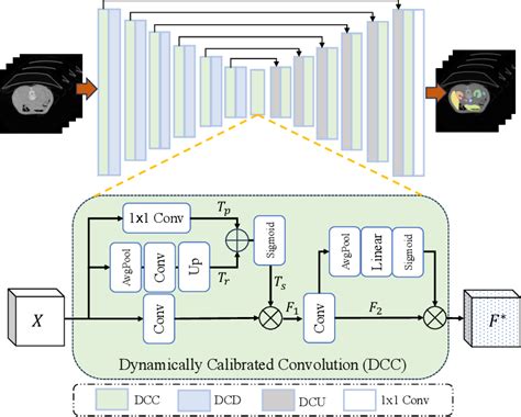 Dynamic U Net Adaptively Calibrate Features For Abdominal Multi Organ Segmentation