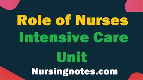 The Vital Role Of Nurses In The Icu Providing High Quality Care For