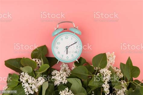 분홍색 배경 상단 보기에 고립 된 흰색 라일락 꽃이있는 파란색 빈티지 알람 시계 완벽한 아침 컨셉 기한 및 변경 시간 개념 0명에 대한 스톡 사진 및 기타 이미지 Istock