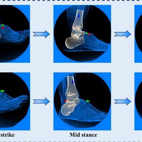 Model Based Tracking Reproduced The 3d Pose Of Each Bone The