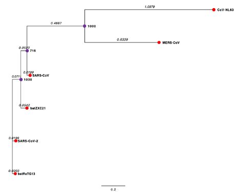 Table 1 From A Comprehensive Analysis Of Cis Acting Rna Elements In The Sars Cov 2 Genome By A