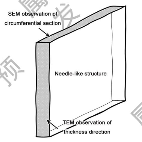 Schematics Of The Three Dimensional View Of The Needle Like Structure