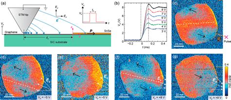 Microscopic Manipulation Of Ferroelectric Domains In Snse Monolayers At