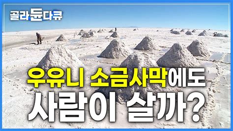 지구상 가장 지독한 자연 환경에서 어떻게 살아남았을까ㅣ우유니 소금사막에도 사람이 살까ㅣ태고의 땅 알티플라노ㅣ수면 다큐ㅣ다큐프라임ㅣ골라듄다큐 Youtube