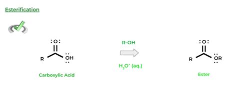 Carboxylic Acids And Derivatives On The Mcat Medlife Mastery