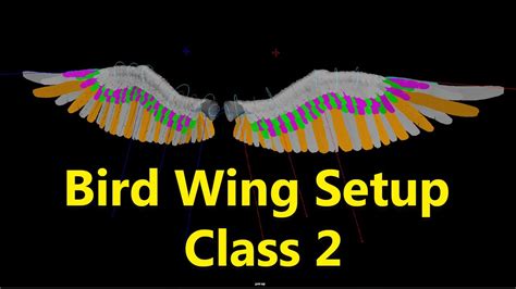 Bird Setup Rigging A Bird Wings Class 02 Youtube
