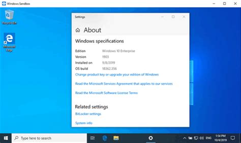 How To Use The Windows Sandbox