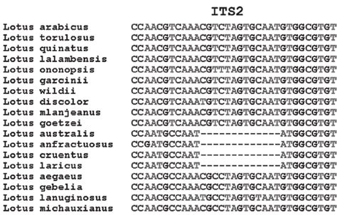 A Portion Of The Alignment Showing A Deletion That Characterized The