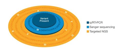 Sangerovo Sekvenciranje Ili NGS InovaGen Akademija