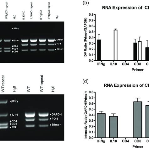 Library Preparation And Transcriptome Sequencing Of Mrna Generated From