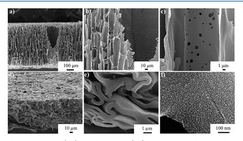 Figure 1 From Polyionic Liquidwood Composite Derived Bn Codoped Porous Carbons Possessing