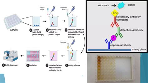 Protein Sequencing Methods Pptx