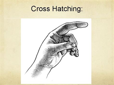 Shading Techniques Four Methods Stippling Hatching Cross Hatching