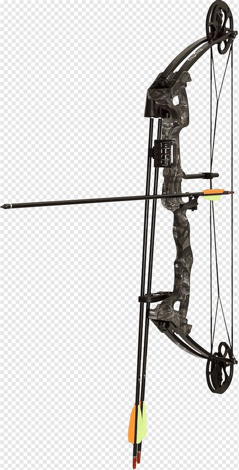 Arcos Compostos Arco E Flecha Tiro Com Arco Caça Tiro Com Arco Esporte Esportes Equipamentos