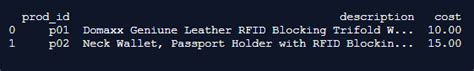 Python Printing A List In Dataframe Format Stack Overflow