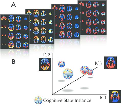 representative spatial topologies of four of the 20 discovered
